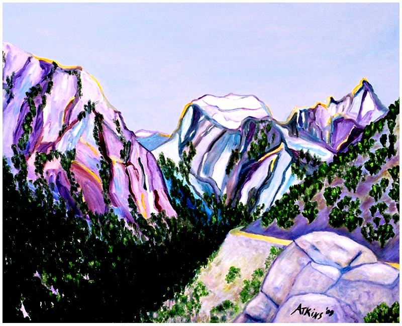 Mary Jane Atkins l Artist