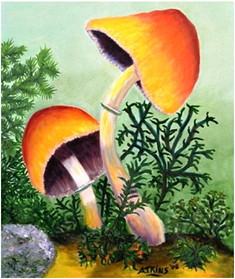 Mary Jane Atkins l Artist